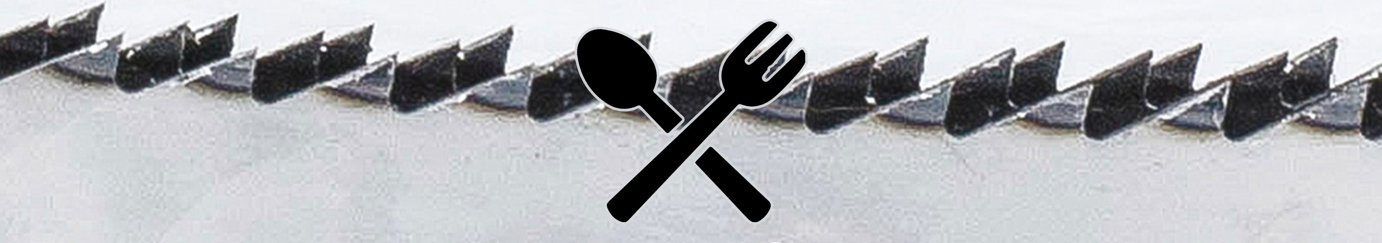 Band saw blades for food and frozen foods - Fraiser